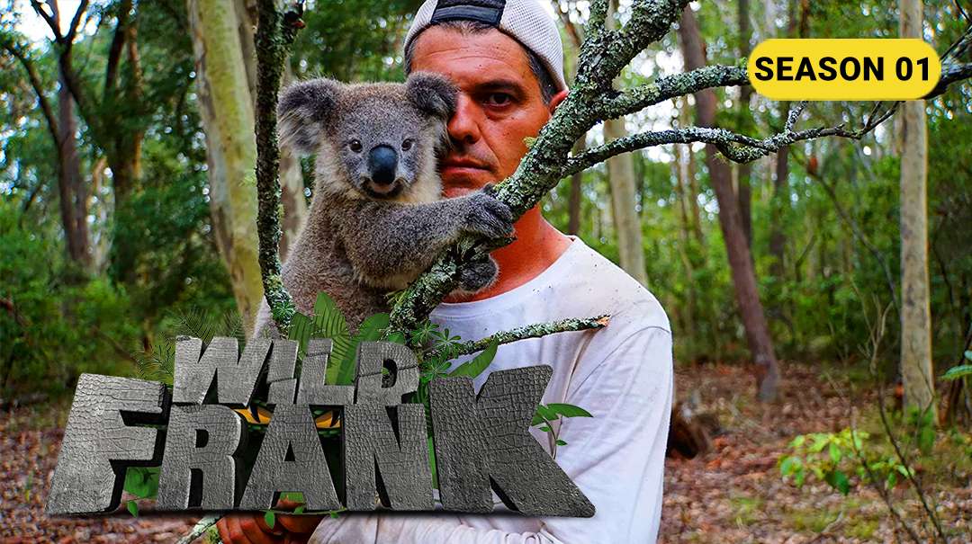 Wild Frank - Season 1
