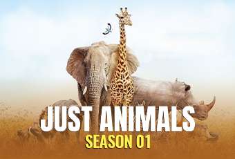 Just Animals - S01